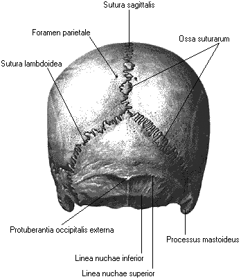 Хостинг от uCoz
